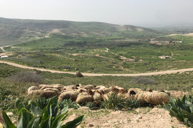 The Cost of Environmental Degradation in Jordan - Glimpse from the Globe