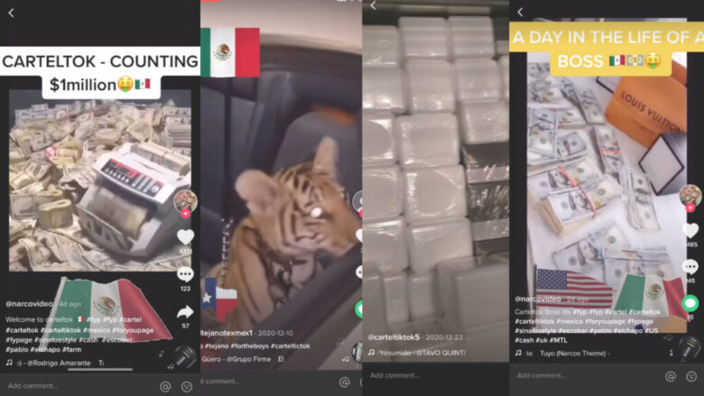 Cartel TikTok: Mexican Drug Lords' Newest Marketing Strategy? - Glimpse ...